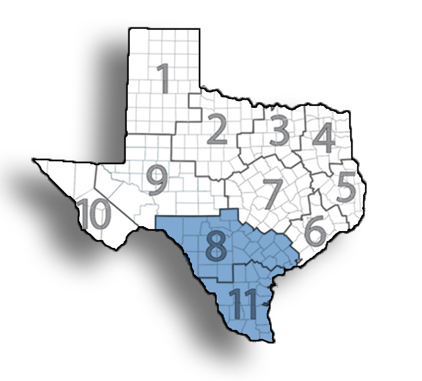 About Us – Estrella PS